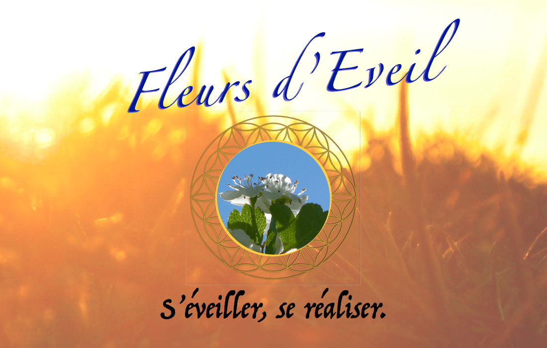 Stéphanie Perret – Séquences Numériques de Grigori Grabovoi